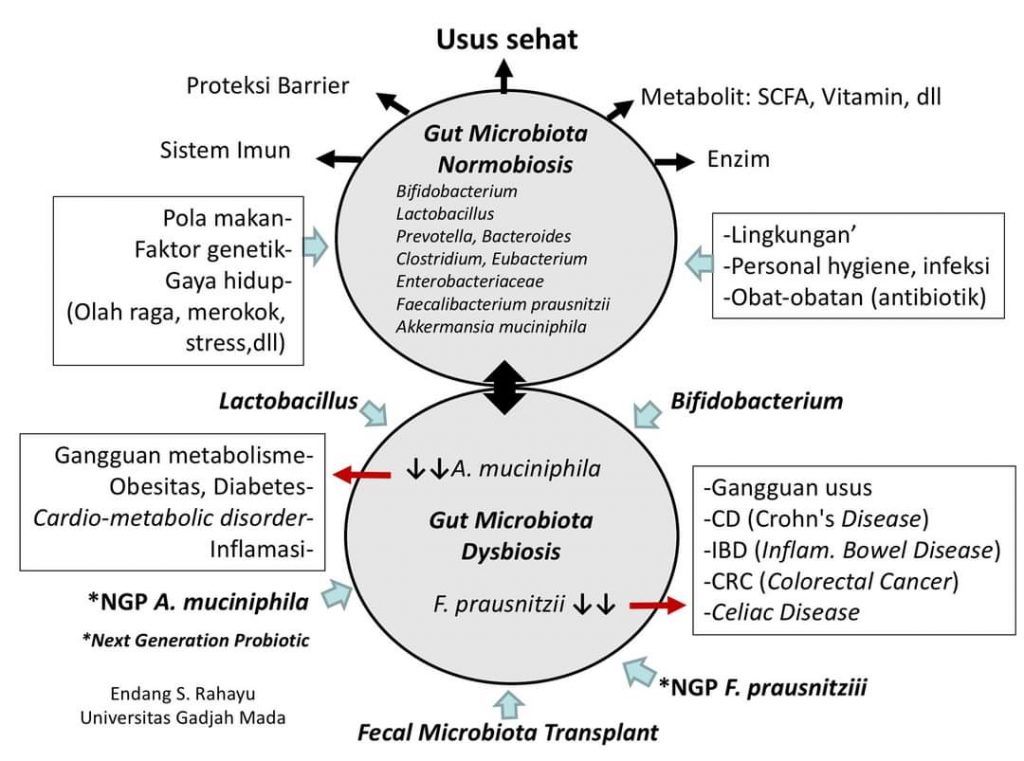Next Generation Probiotics – cfns.ugm.ac.id/id/